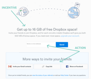 How To Create A Referral Program For Your Business | NetStripes